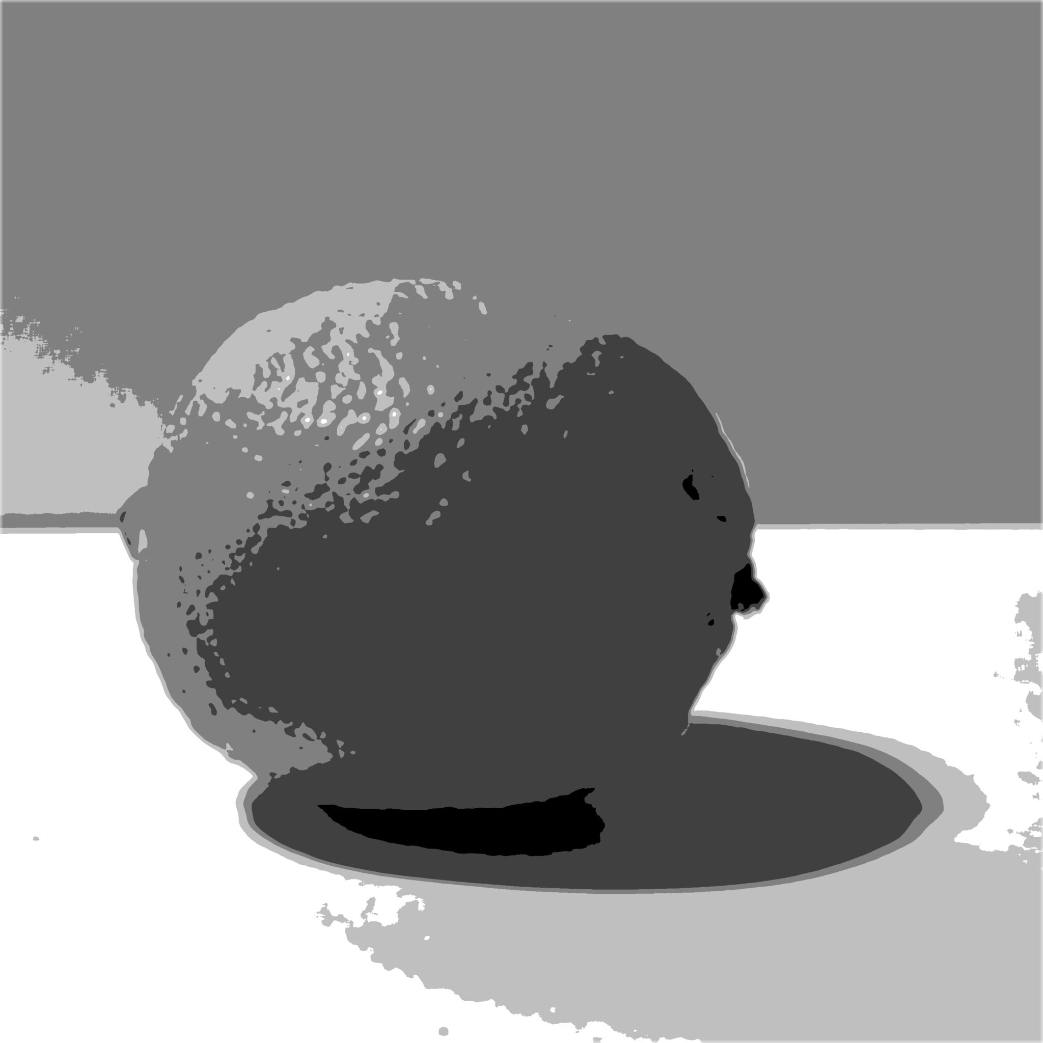 Essential Art Reference Library | Build Your Creative Reference